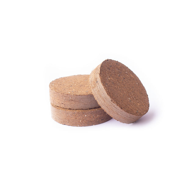 CocoGrow Puck (Large - 100mm) – Lively